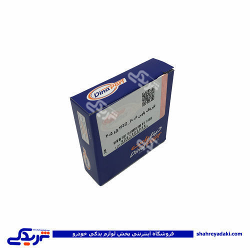 پژو بلبرینگ وسط پلوس 405 (6006) 2 RS دیناپارت 1203045|فروشگاه اینترنتی شهریدکی